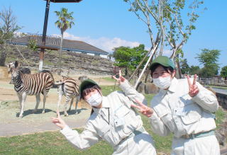 AWS動物学院